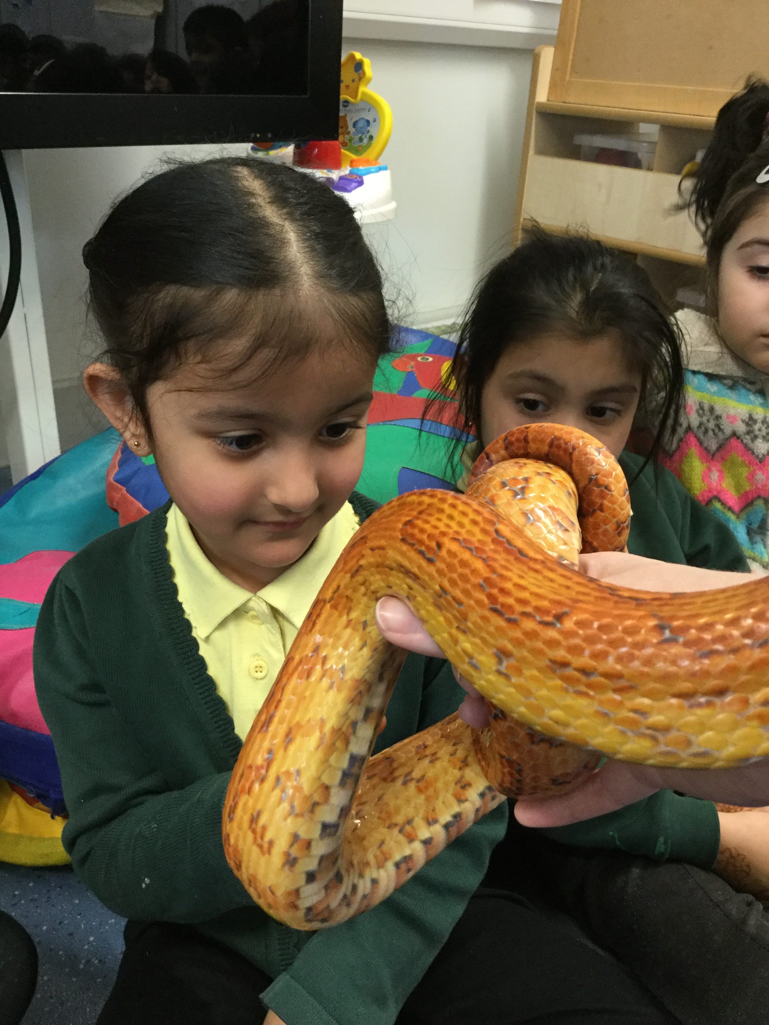 Zoo Lab visit 2018